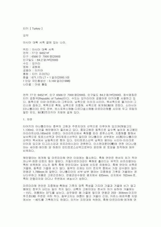 터키[Turkey]아시아 대륙 서쪽 끝