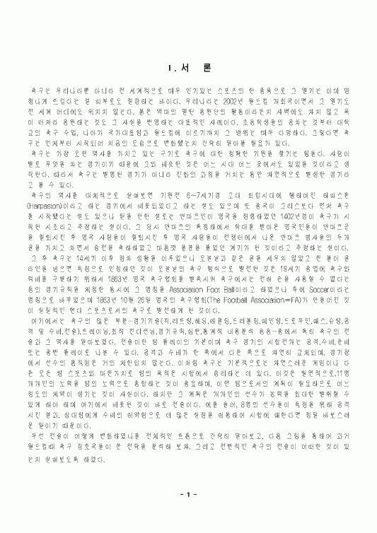 축구의 전략전술
