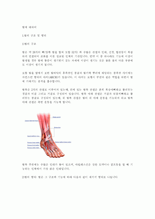 [사회과학] 발에 대하여