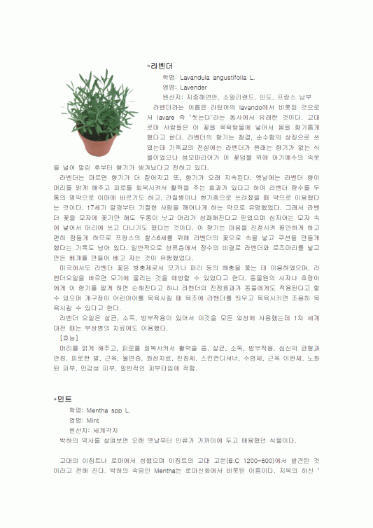 허브의 종류와 특성