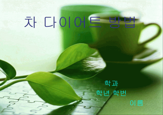 차다이어트방법(파워포인트 발표자료)