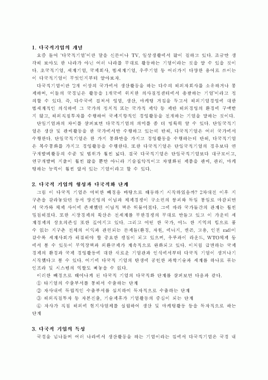 다국적기업 레포트