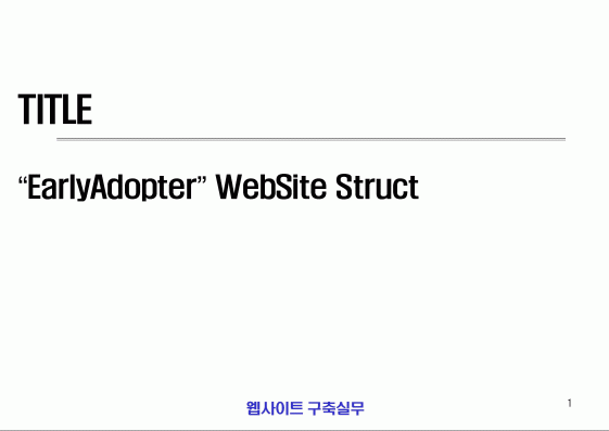 웹사이트 제안서