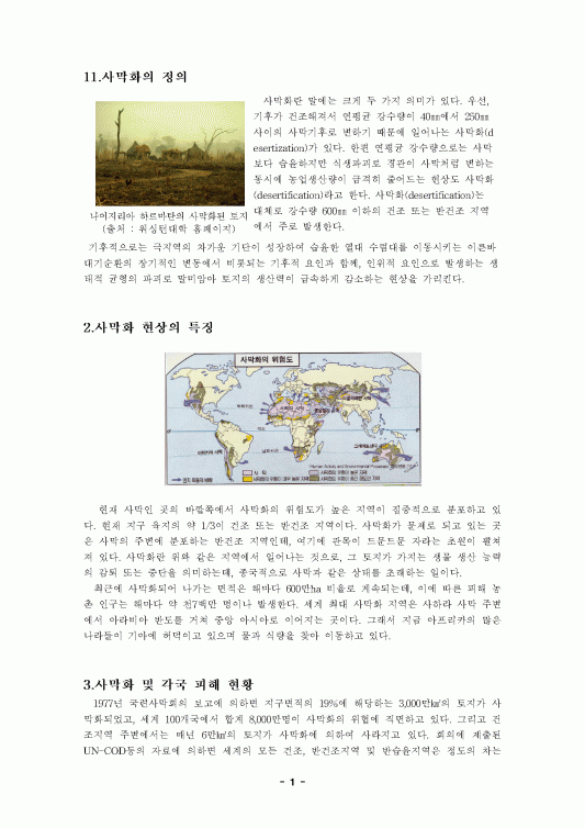 사막화 발표 자료