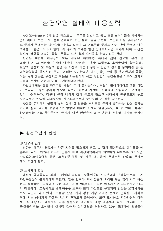 환경오염 실태 그 대책