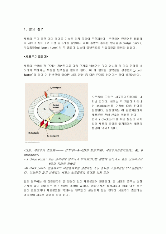 암세포의 관찰