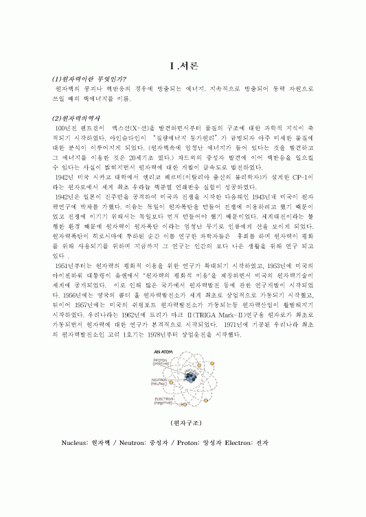 원자력에너지 발전소 경제성 핵 방사능 폐기물