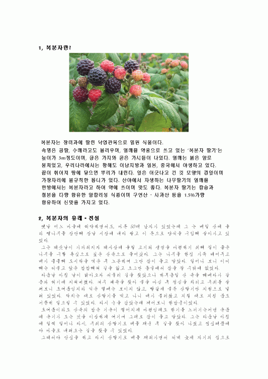 복분자주가 스테미너에 미치는 영향
