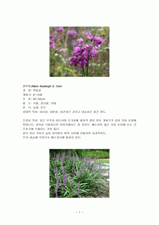 야생화의 종류
