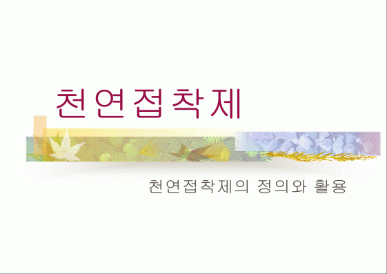 천연 접착제 레포트 자료