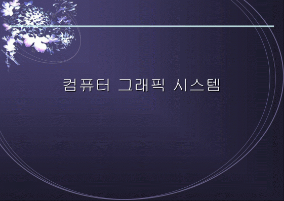 컴퓨터 그래픽 시스템