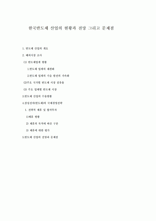 한국반도체 산업의 현황과 전망 그리고 문제점