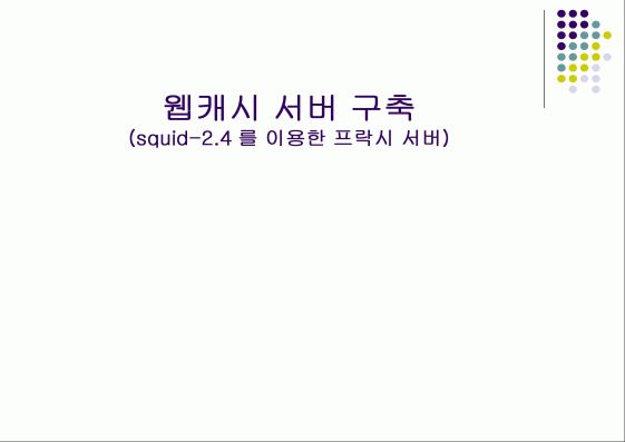 웹캐시 서버 구축