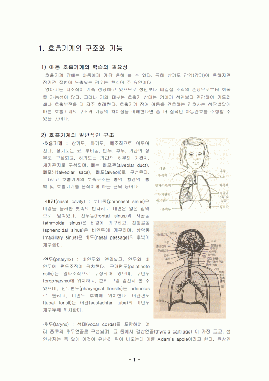 호흡기계 레포트 자료
