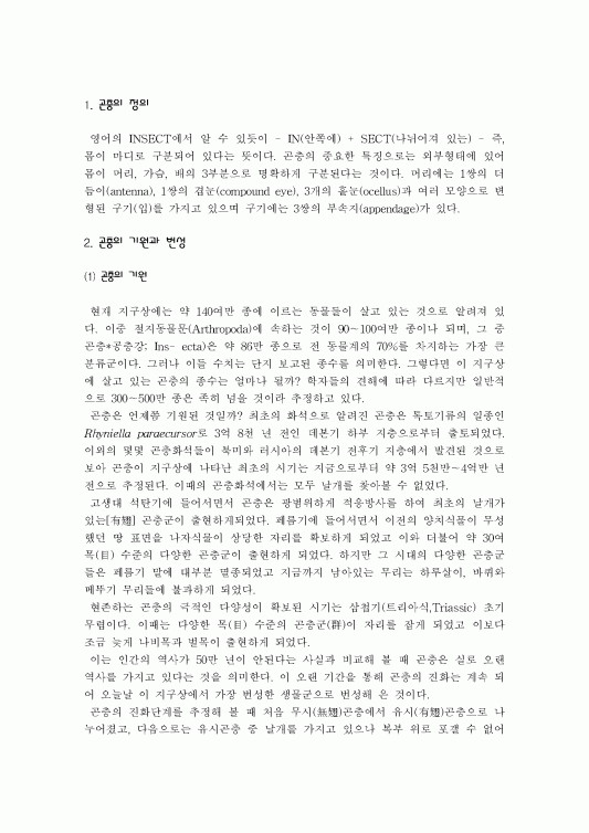 곤충의 특징 레포트 자료
