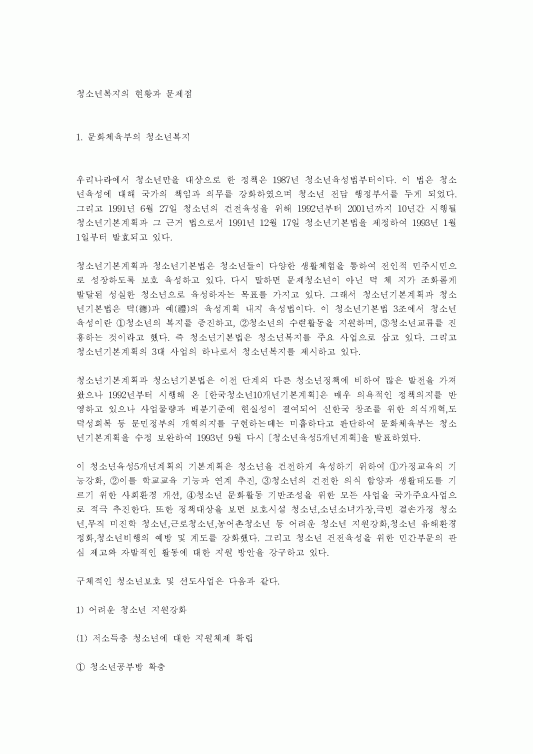 청소년 복지의 현황과 문제점