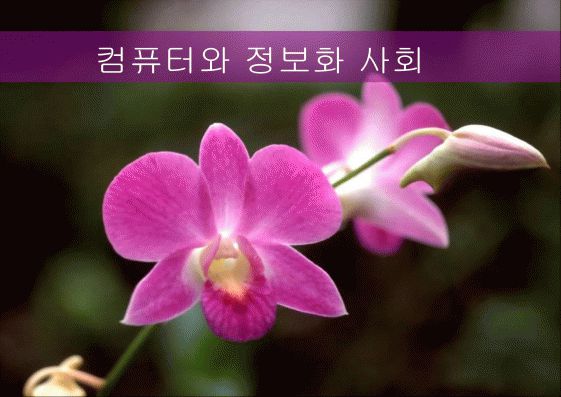 컴퓨터와 정보화 사회