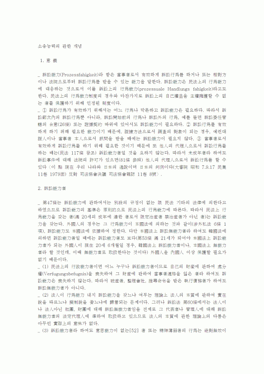 소송능력의 관한 개념