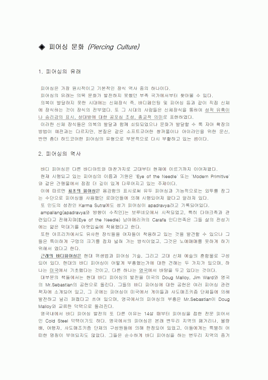 [인문과학] 피어싱 문화
