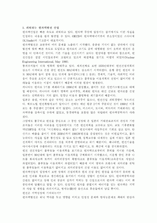쇠퇴하는 원자력 발전