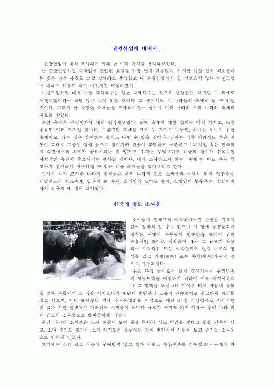 관광산업 중 이벤트업의 여러축제