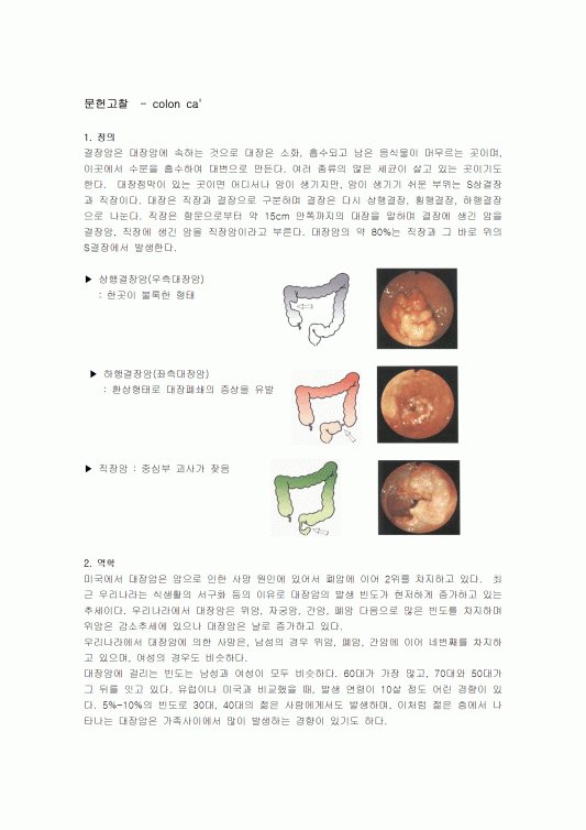 대장암 문헌고찰