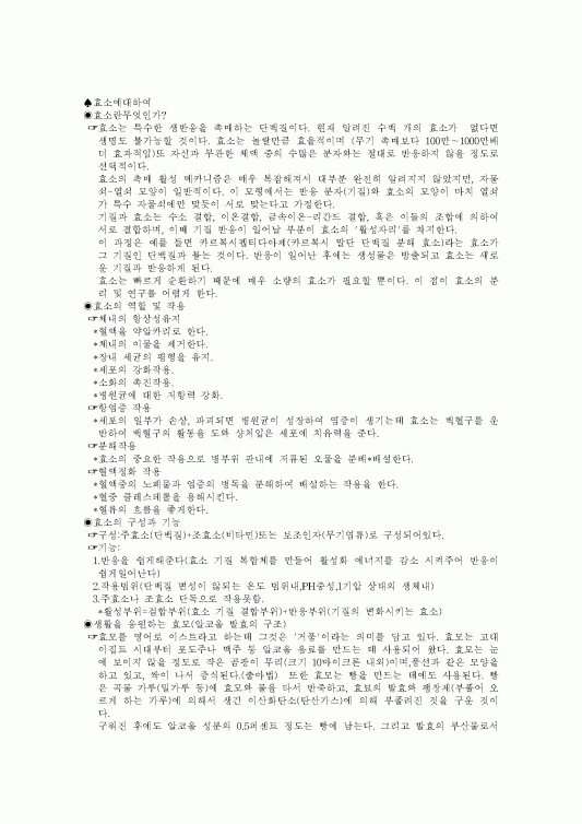 효소에관하여