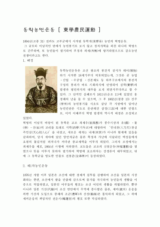 [사범/법학] 동학농민운동 [분석/조사]