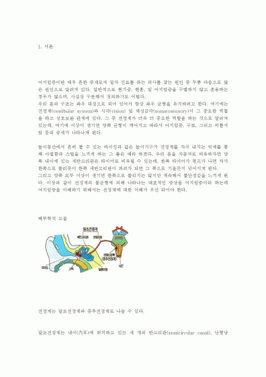 어지럼증 레포트 자료