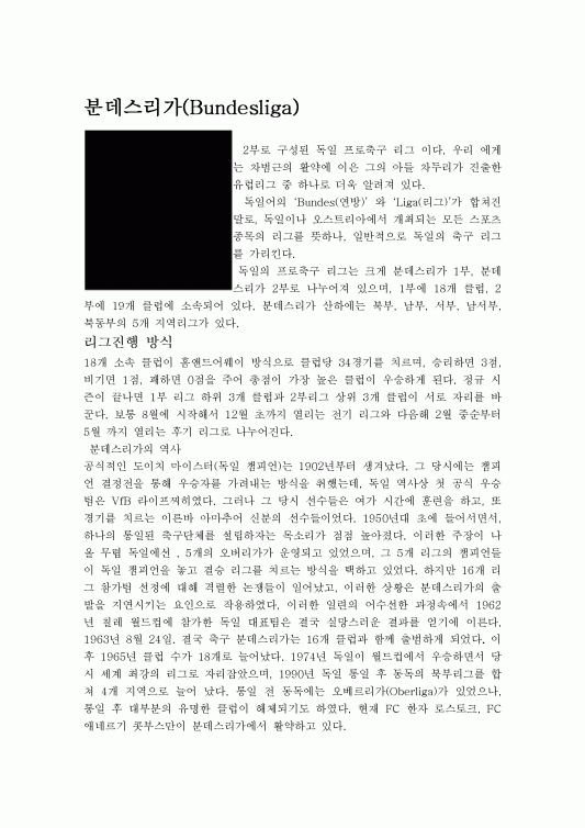 분데스리가 레포트 자료