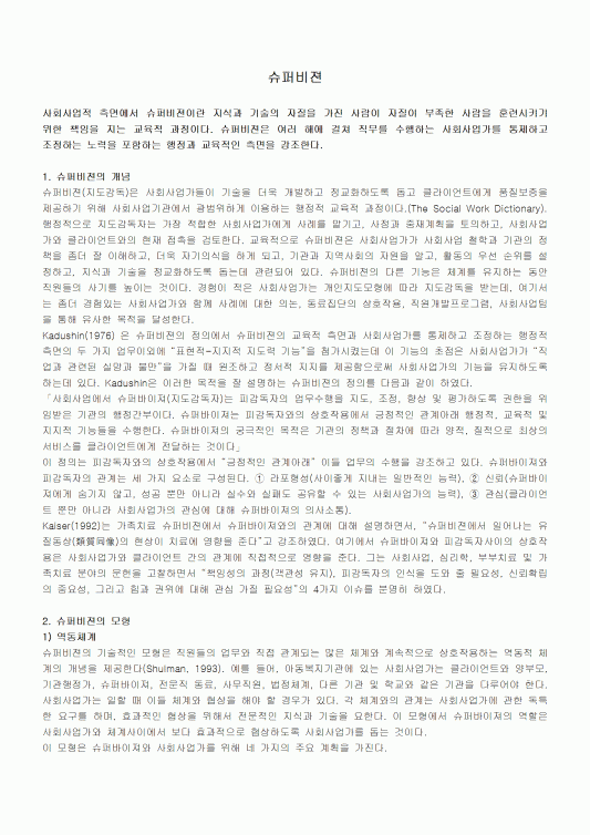 슈퍼비젼 레포트 자료