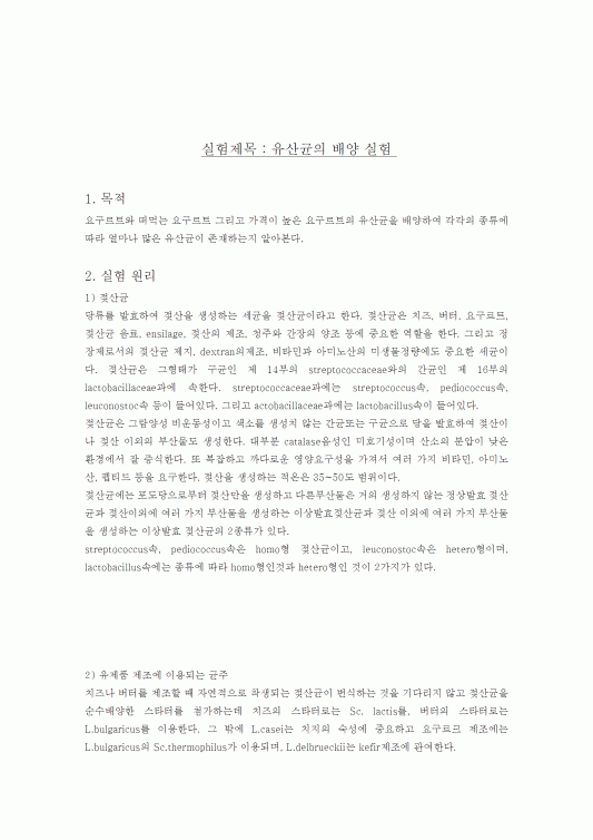유산균 배양 실험
