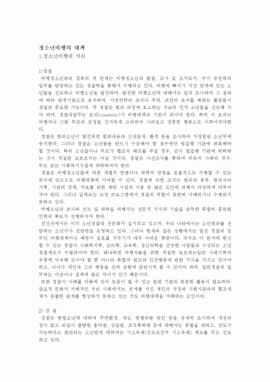 청소년비행의 대책