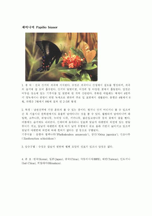 나비의 종류와 특성에 관한 보고서