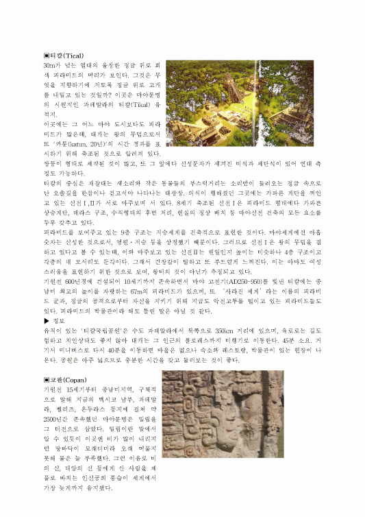 마야 문명 유적지 조사