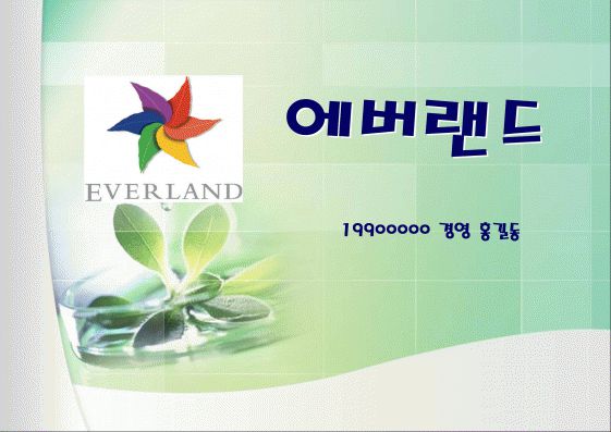 에버랜드의 서비스 전략