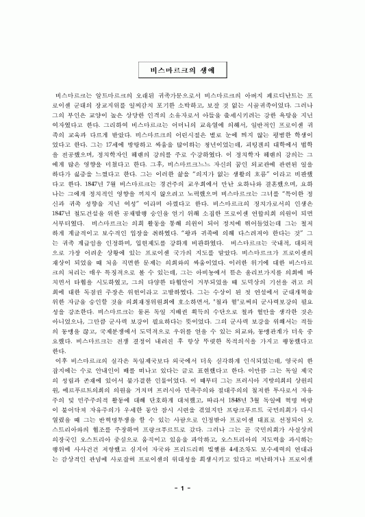 비스마르크 레포트 자료