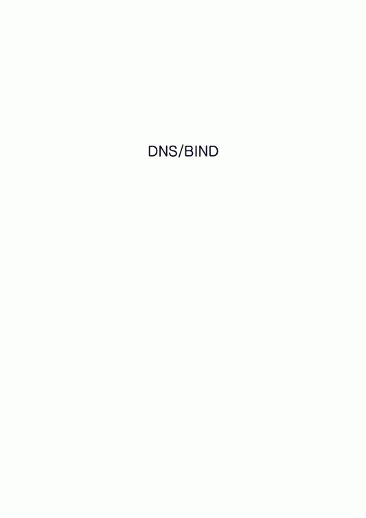 DNS(BIND) 레포트 자료