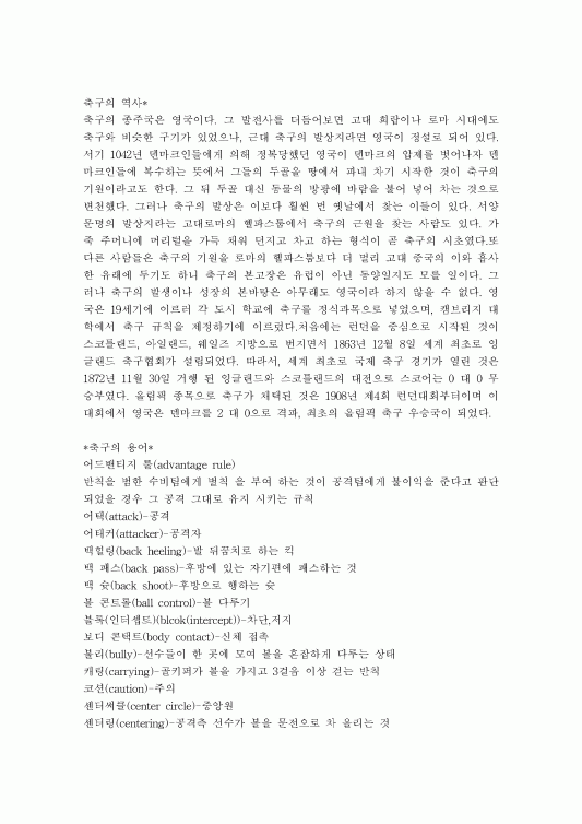축구에 대해서