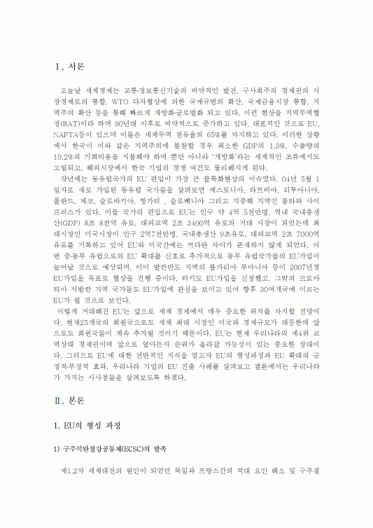 동구 유럽 10개국의 EU통합으로 인한 경제적 효과와 한국에 주는 시사점(한국기업 성공사례)