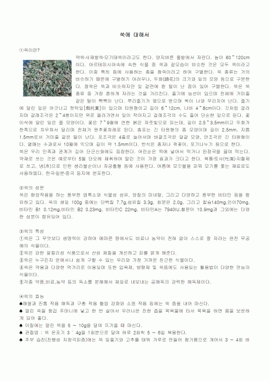 쑥에 대해서 레포트 자료