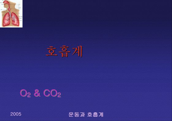 [인체과학] 호흡계 작용