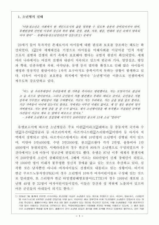 [아동인권]소년병의 실태와 국제기구의 노력조사