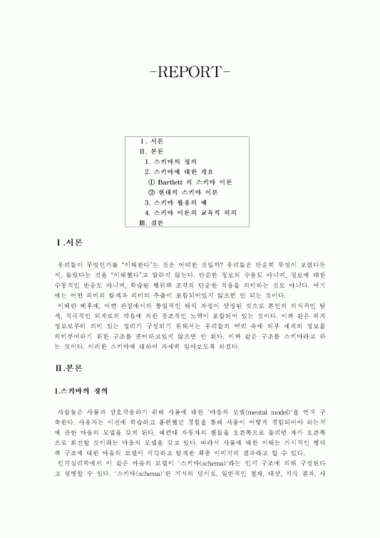 스키마란? 레포트 자료