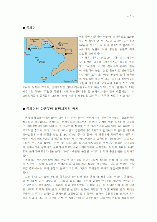폼페이에 대하여