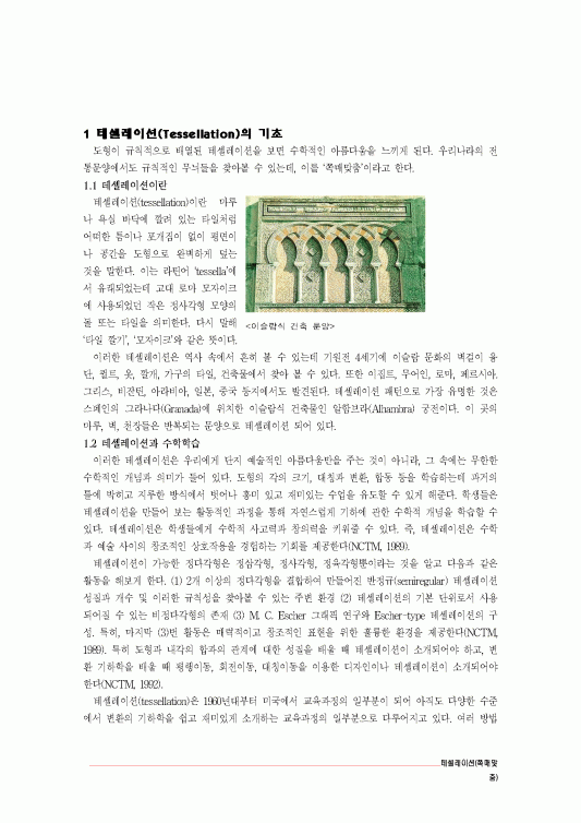 테셀레이션 레포트 자료