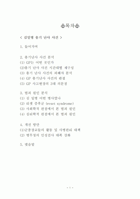 총기난사사건에 관한 사건분석과 원인과 대책