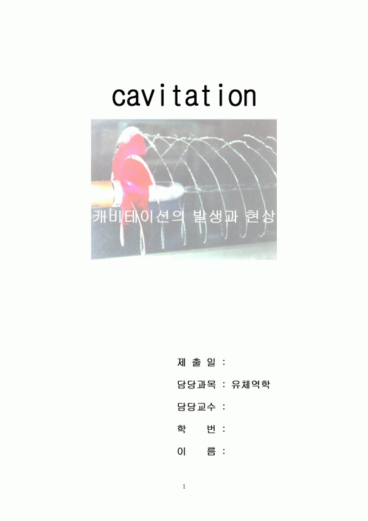 캐비테이션 레포트 자료