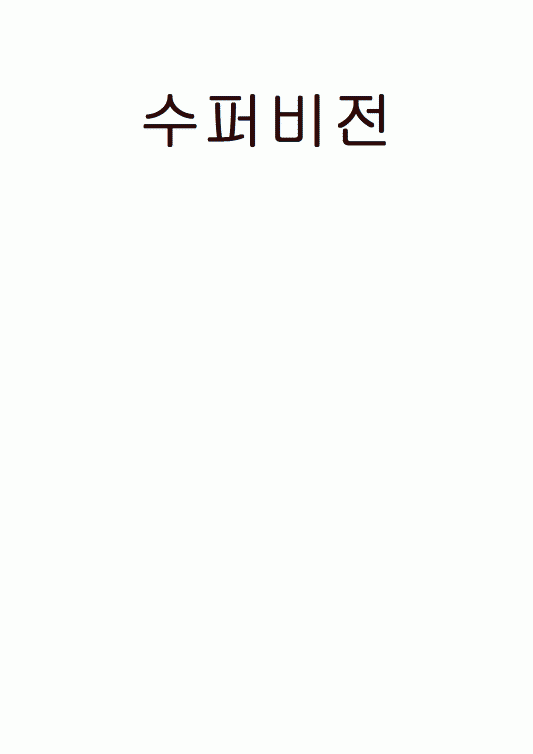 수퍼비전 레포트 자료