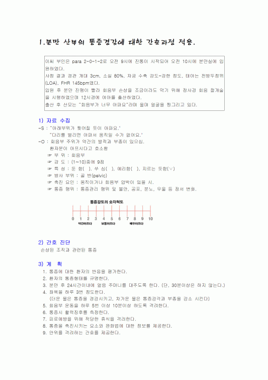 분만산부의 간호과정적용